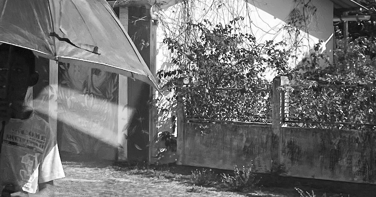 Simé Grenn | dach&zephir